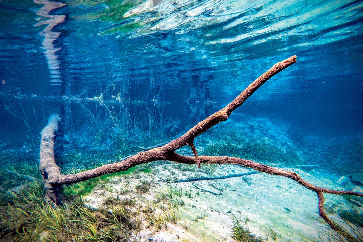 Home - Polk Regional Water Cooperative